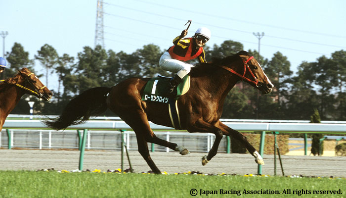 CHUKYO KINEN (G3) - JRA International Races 2008 - Horse Racing in Japan