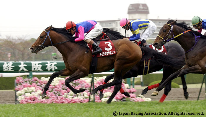 SANKEI OSAKA HAI (G2) - JRA International Races 2008 - Horse Racing in ...