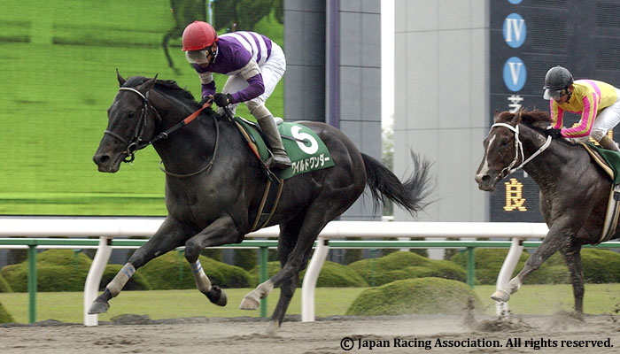 ANTARES STAKES (G3) - JRA International Races 2008 - Horse Racing in Japan
