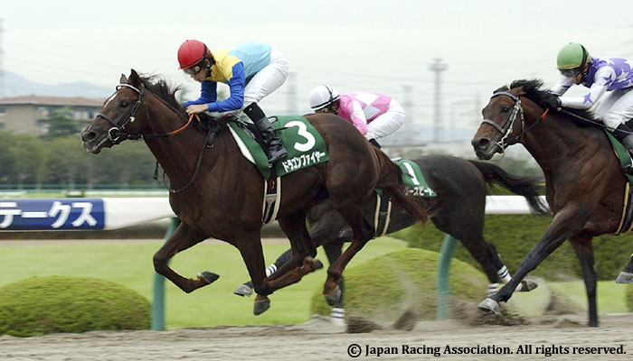 SIRIUS STAKES (G3) - JRA International Races 2008 - Horse Racing in Japan