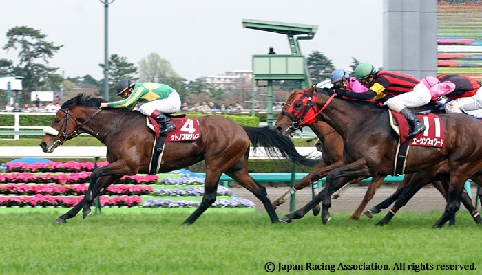 NEW ZEALAND TROPHY (G2) - JRA International Races 2009 - Horse Racing in Japan