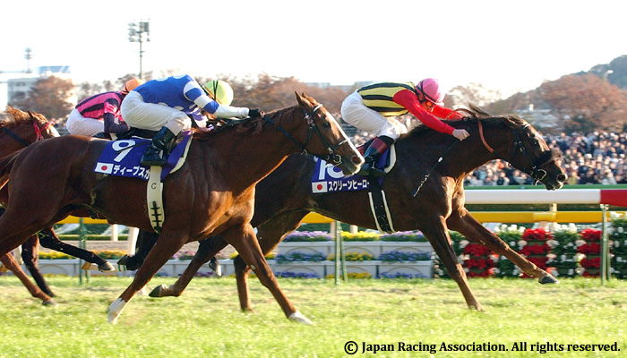 JAPAN CUP (G1) - JRA International Races 2009 - Horse Racing in Japan