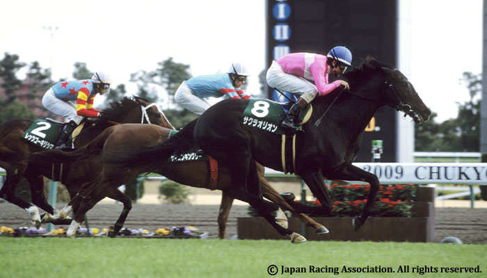 CHUKYO KINEN (G3) - JRA Graded Races 2010 - Horse Racing in Japan