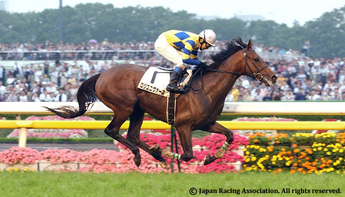 TOKYO YUSHUN (JAPANESE DERBY) (G1) - JRA Graded Races 2010 - Horse ...