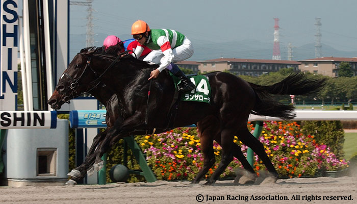 PROCYON STAKES (G3) - JRA Graded Races 2010 - Horse Racing in Japan