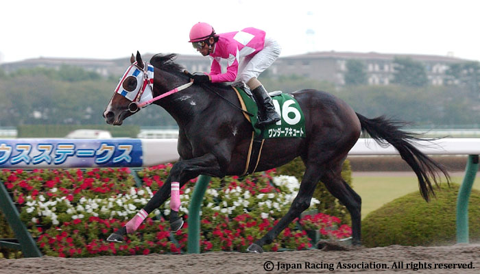 SIRIUS STAKES (G3) - JRA Graded Races 2010 - Horse Racing in Japan