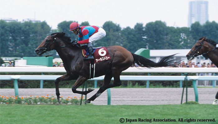 SAPPORO KINEN (G2) - JRA International Races 2011 - Horse Racing in Japan