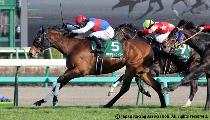 YUKAN FUJI SHO OCEAN STAKES (G3) - JRA Graded Races 2012 - Horse Racing ...