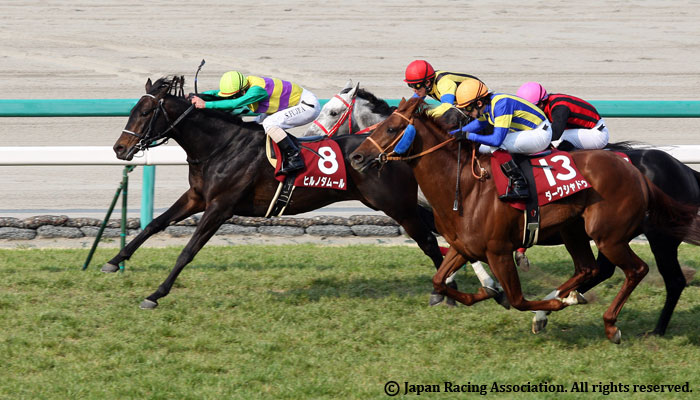SANKEI OSAKA HAI (G2) - JRA Graded Races 2012 - Horse Racing in Japan