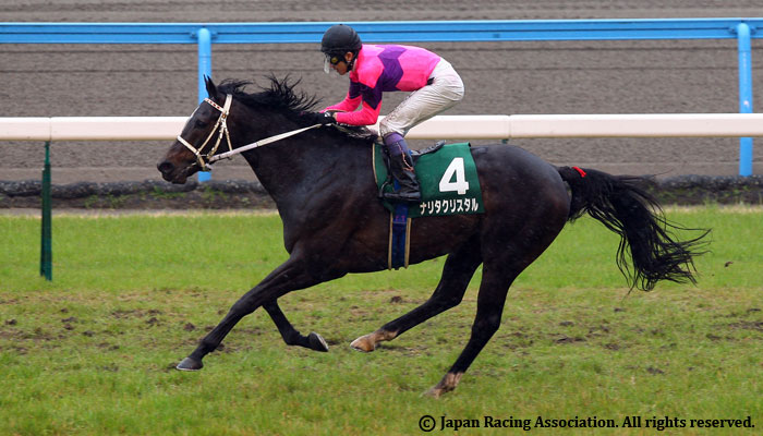TOYOTA SHO CHUKYO KINEN (G3) - JRA Graded Races 2012 - Horse Racing in ...