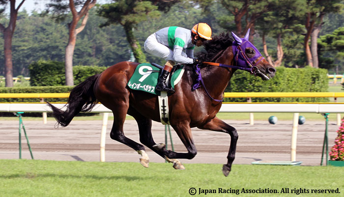 SEKIYA KINEN (G3) - JRA Graded Races 2012 - Horse Racing in Japan