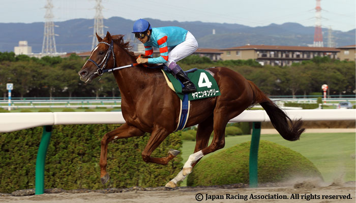 SIRIUS STAKES (G3) - JRA Graded Races 2012 - Horse Racing in Japan
