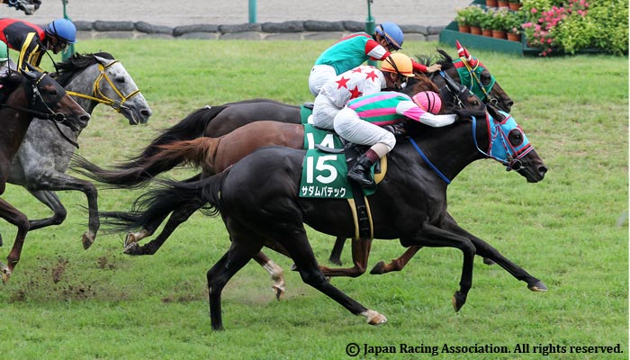 TOYOTA SHO CHUKYO KINEN (G3) - JRA Graded Races 2015 - Horse Racing in ...