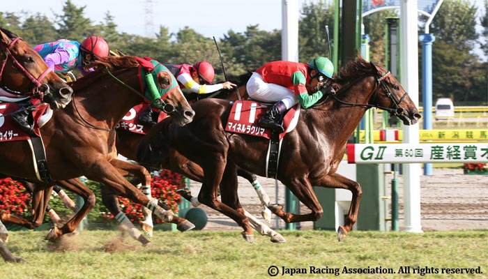 SANKEI SHO ALL COMERS (G2) - JRA Graded Races 2015 - Horse Racing in Japan
