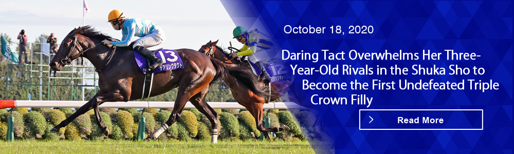 Horse Racing in Japan