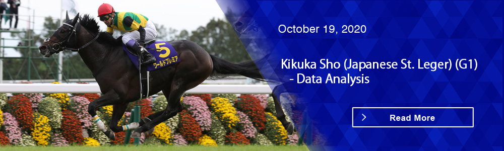 Horse Racing in Japan