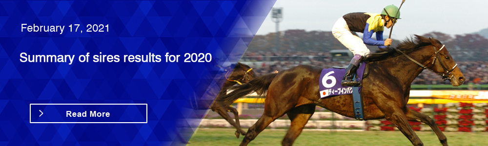 Horse Racing in Japan