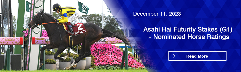 Horse Racing in Japan