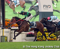 Horse Racing in Japan