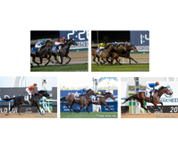 Horse Racing in Japan