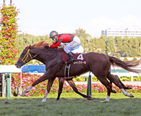 Horse Racing in Japan