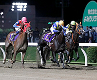 Horse Racing in Japan