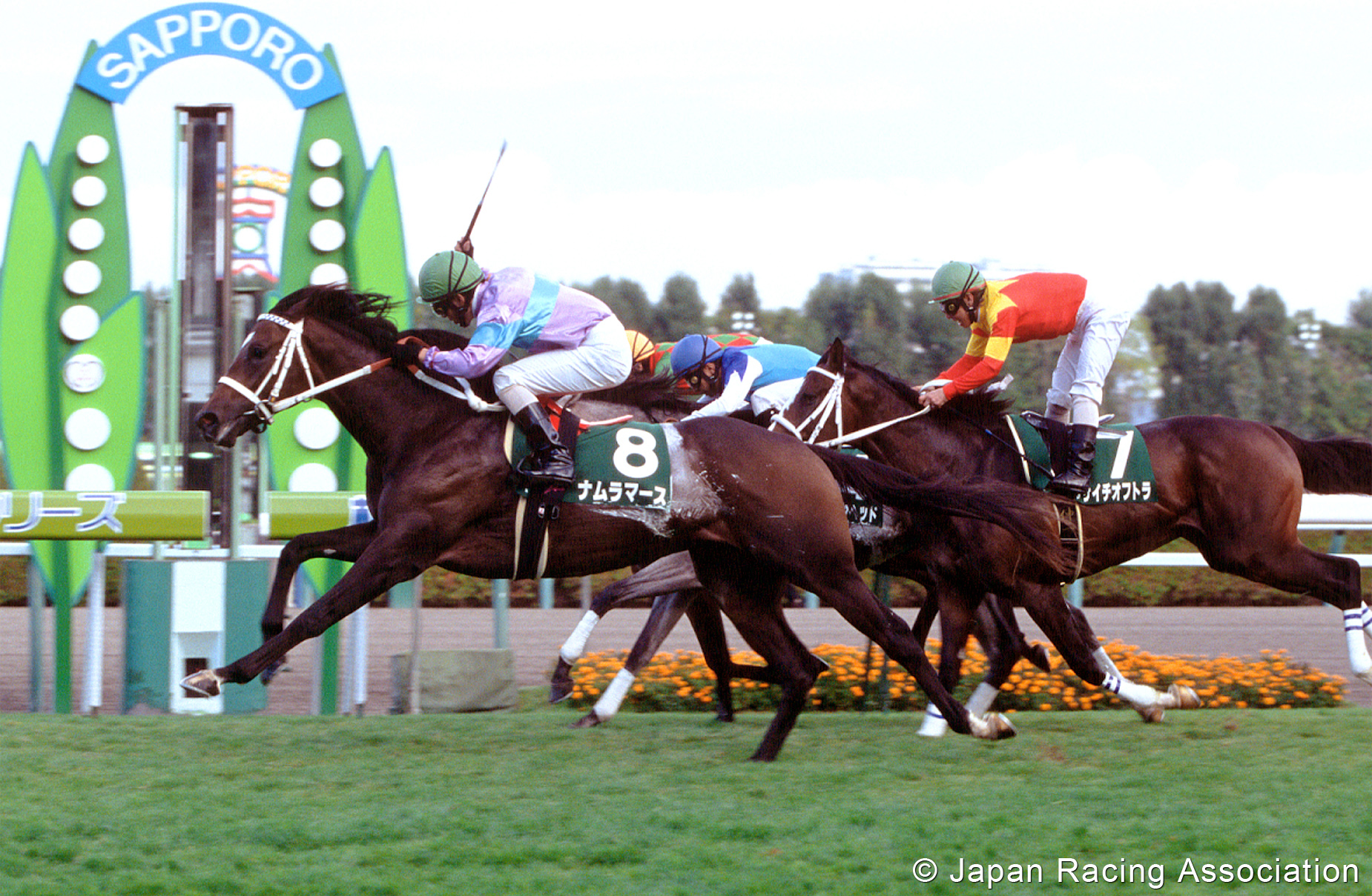Photo Gallery｜News & Media｜Horse Racing in Japan