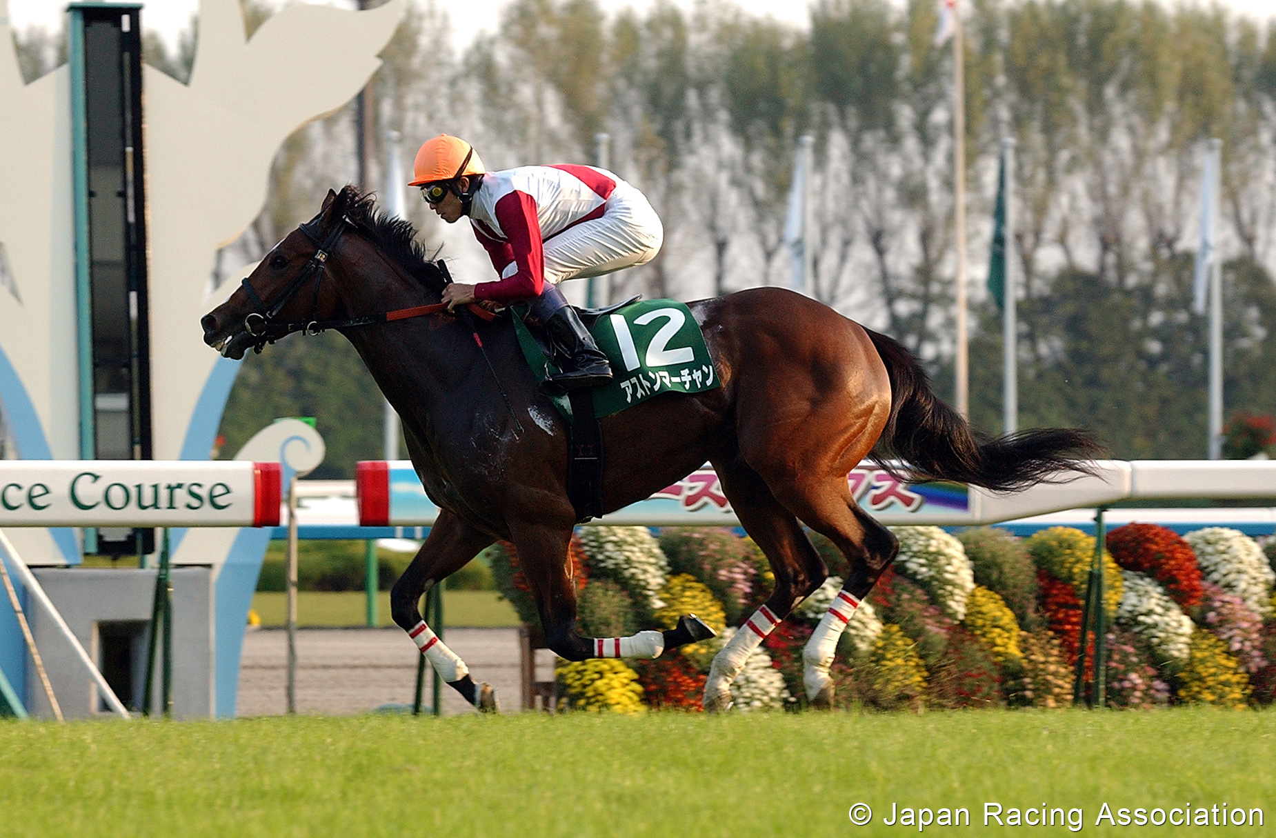 Photo Gallery｜News & Media｜Horse Racing in Japan