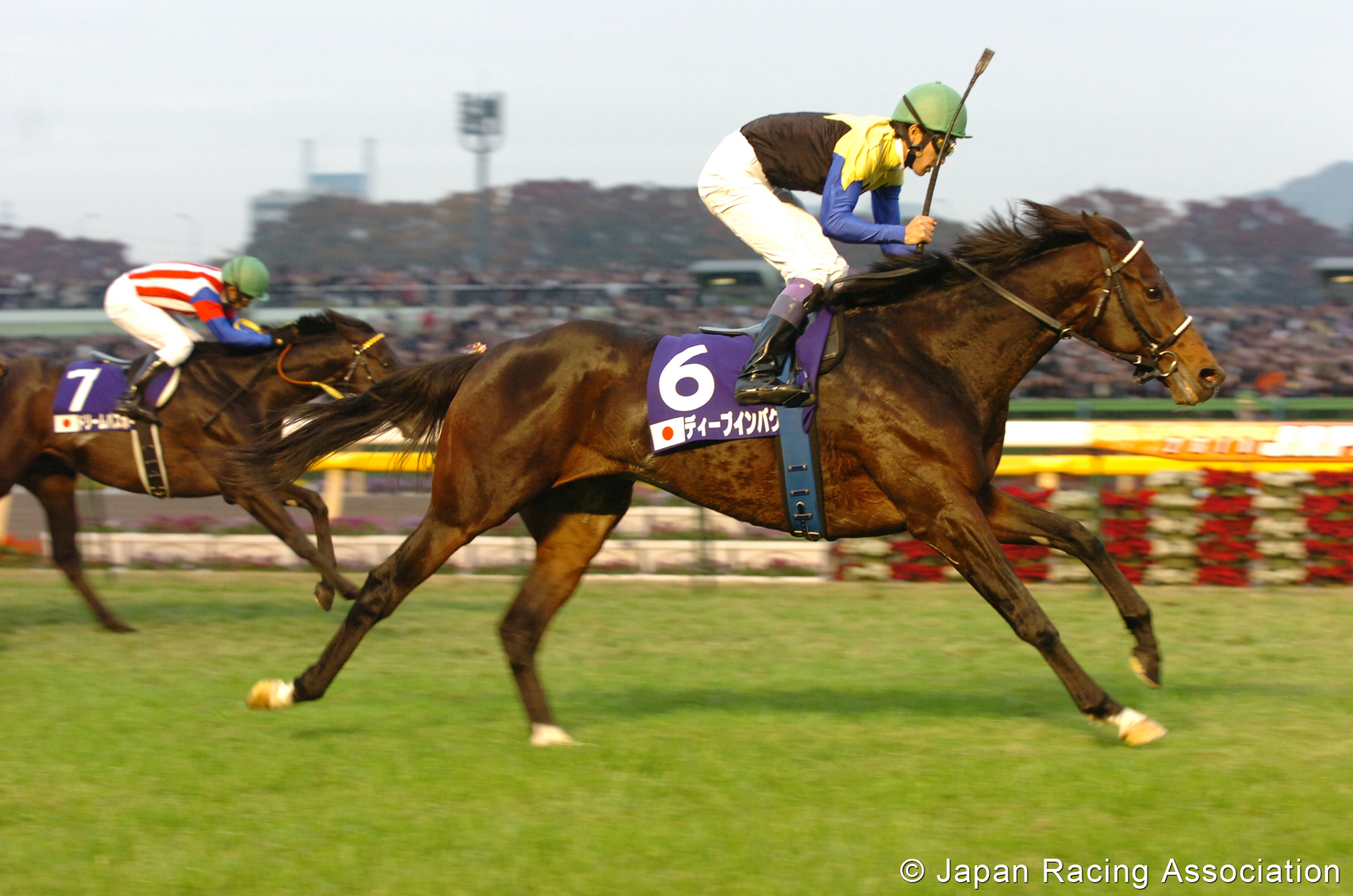 Photo Gallery｜News & Media｜Horse Racing in Japan