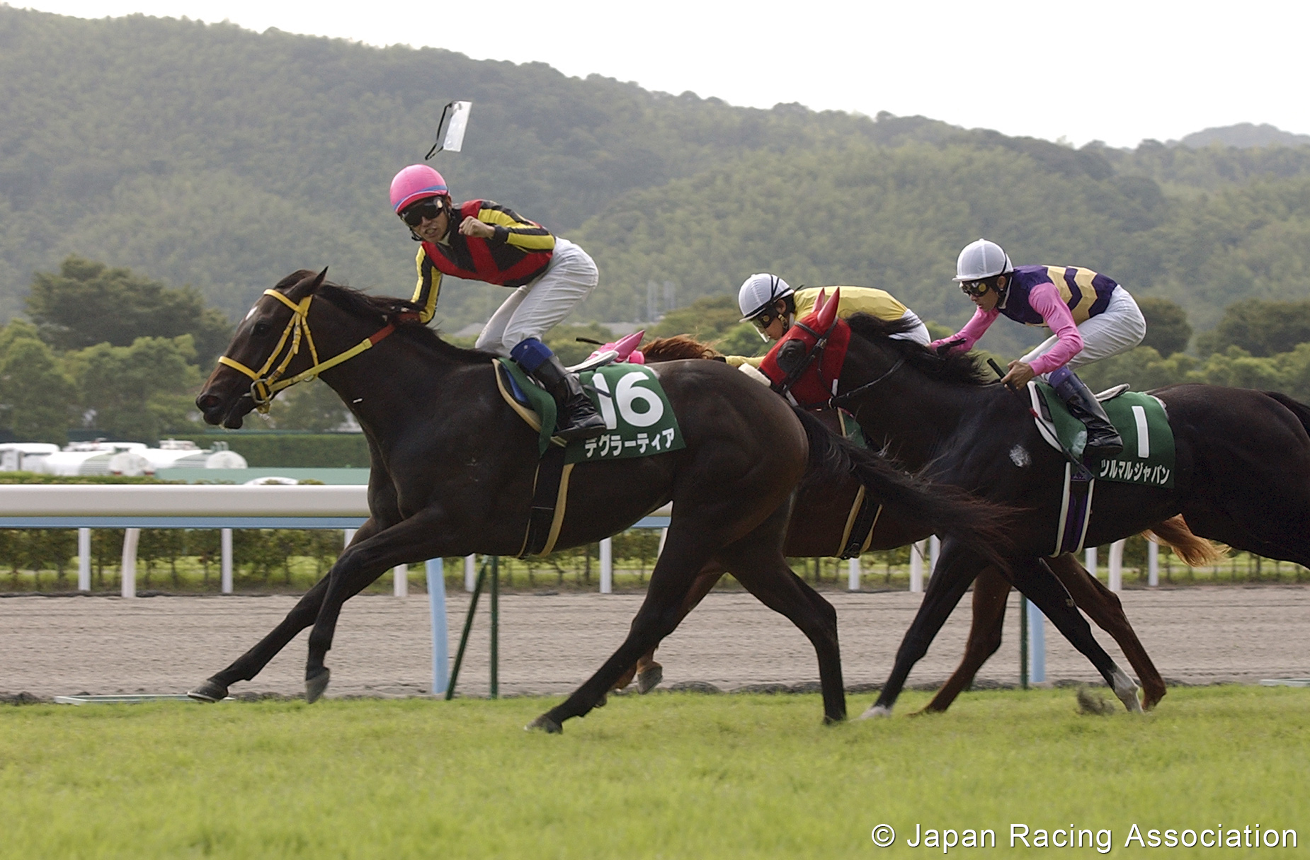 Photo Gallery｜News & Media｜Horse Racing in Japan