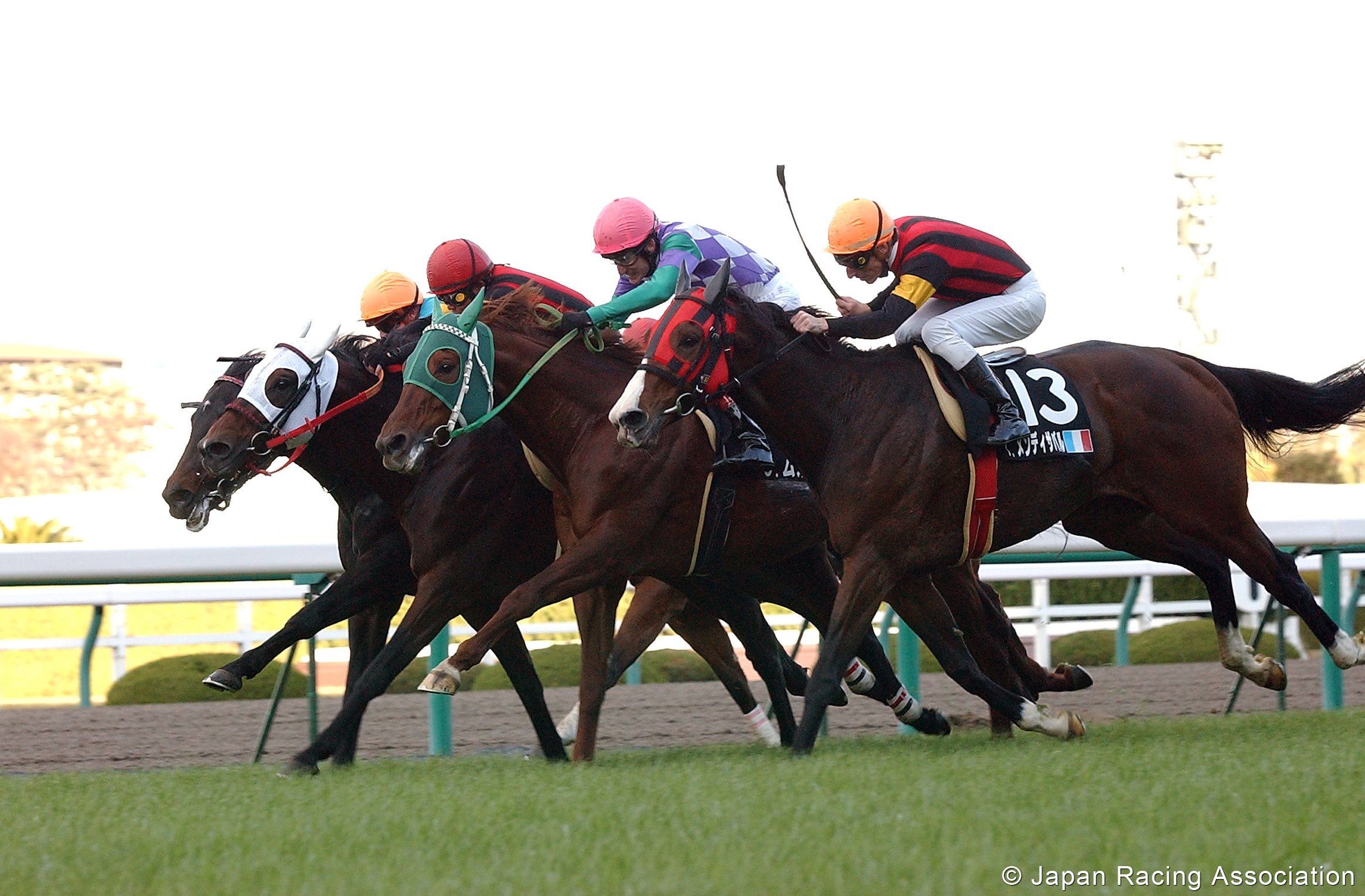 Photo Gallery｜News & Media｜Horse Racing in Japan