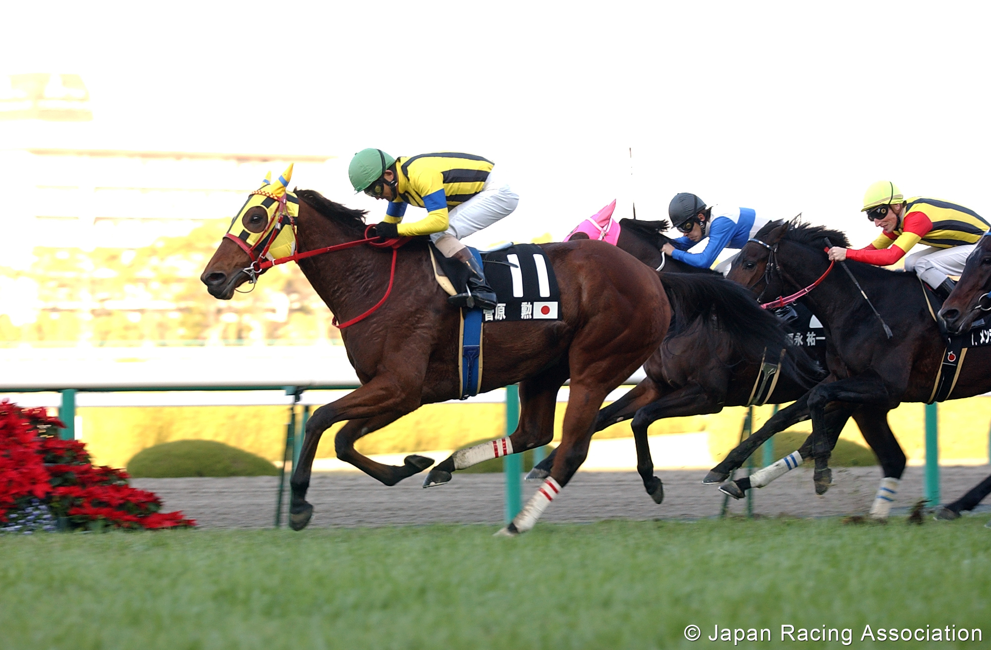 Photo Gallery｜News & Media｜Horse Racing in Japan