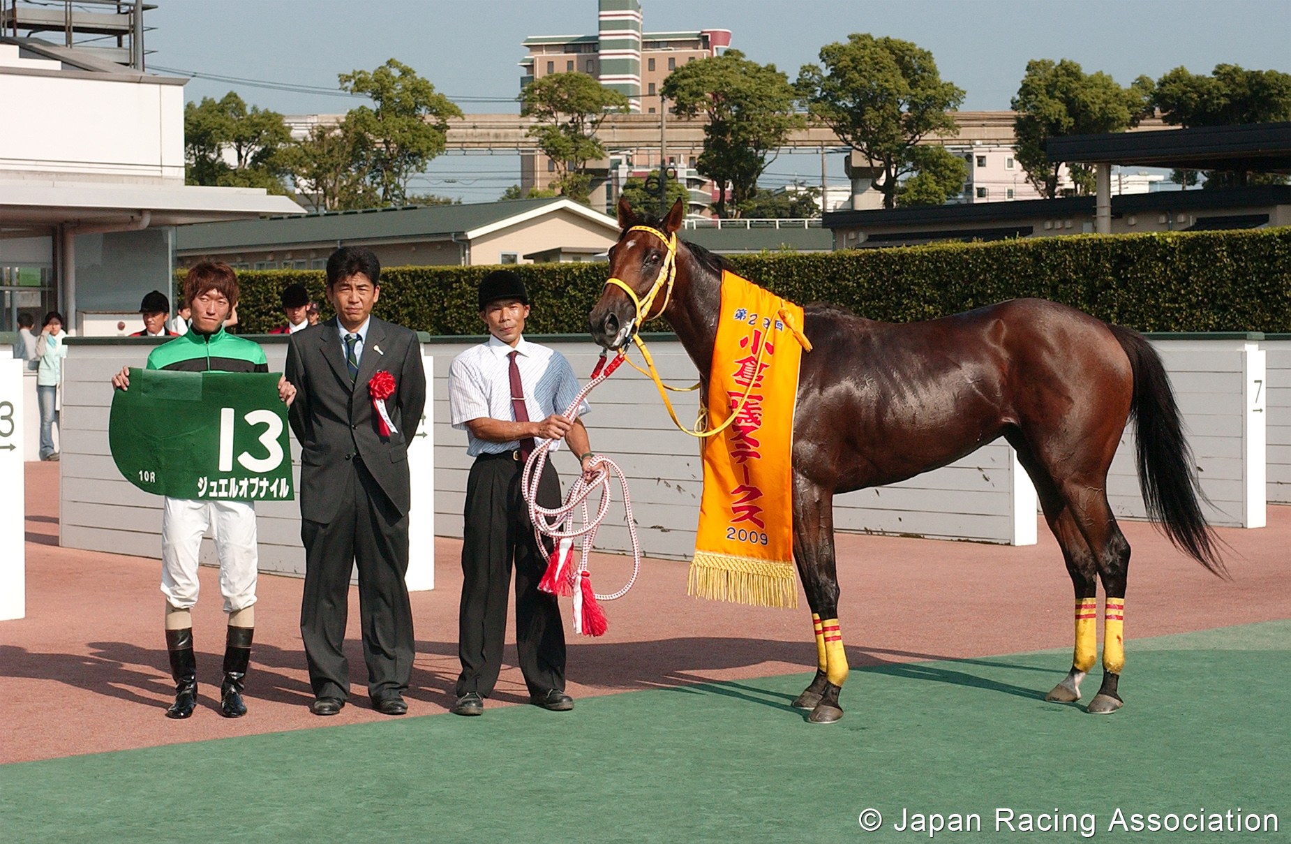 Photo Gallery｜News & Media｜Horse Racing in Japan