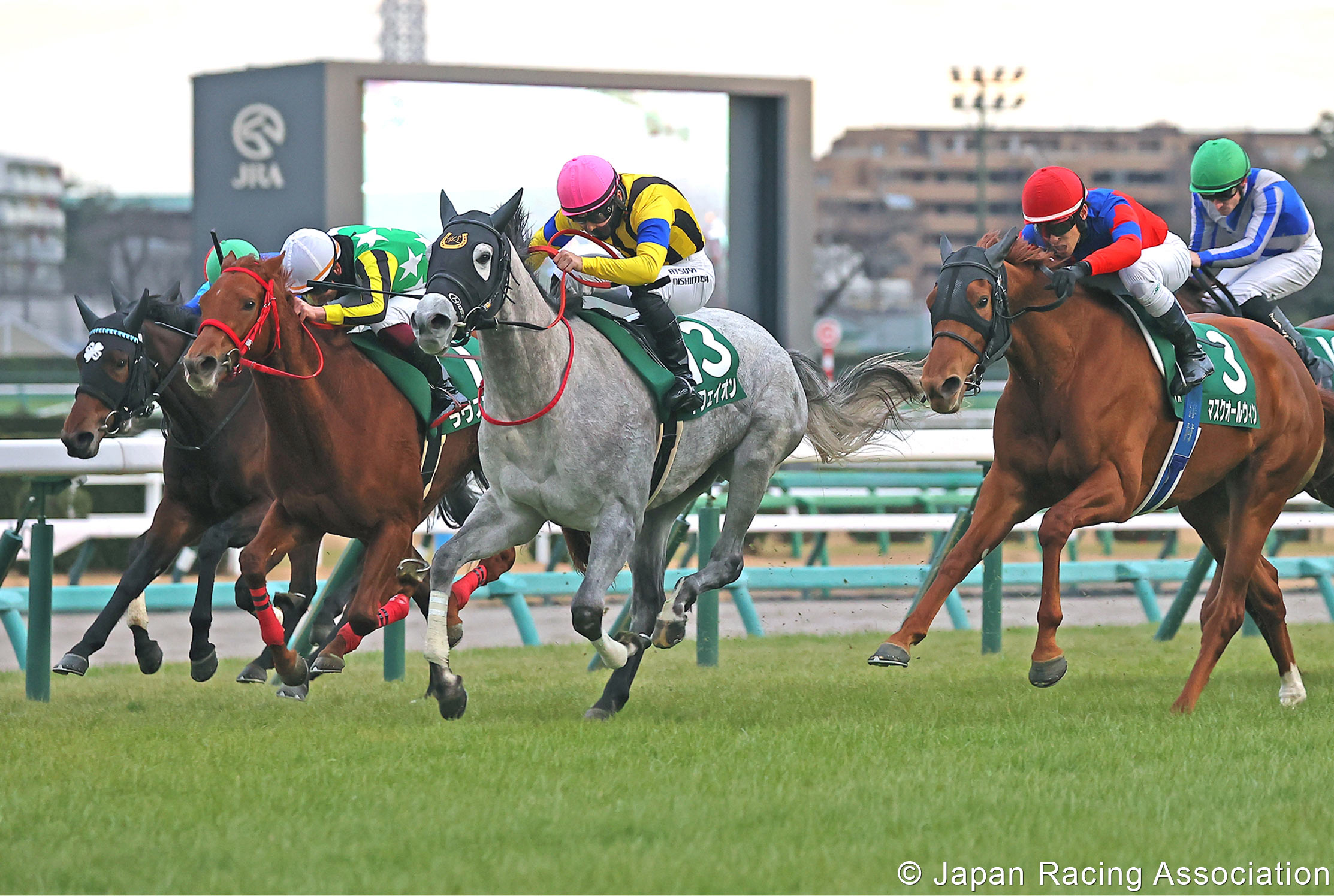 Horse Racing in Japan