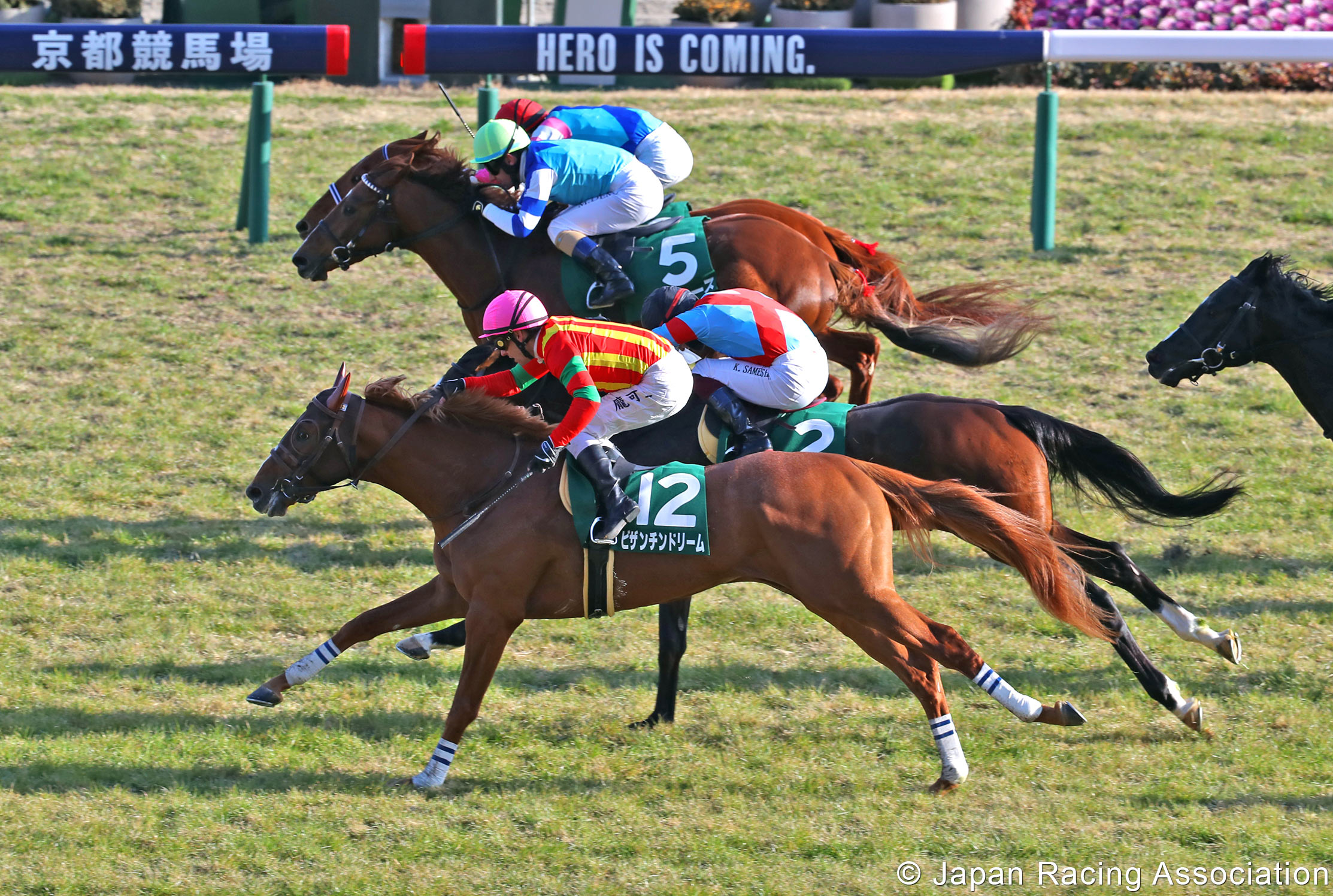 Photo Gallery｜News & Media｜Horse Racing in Japan