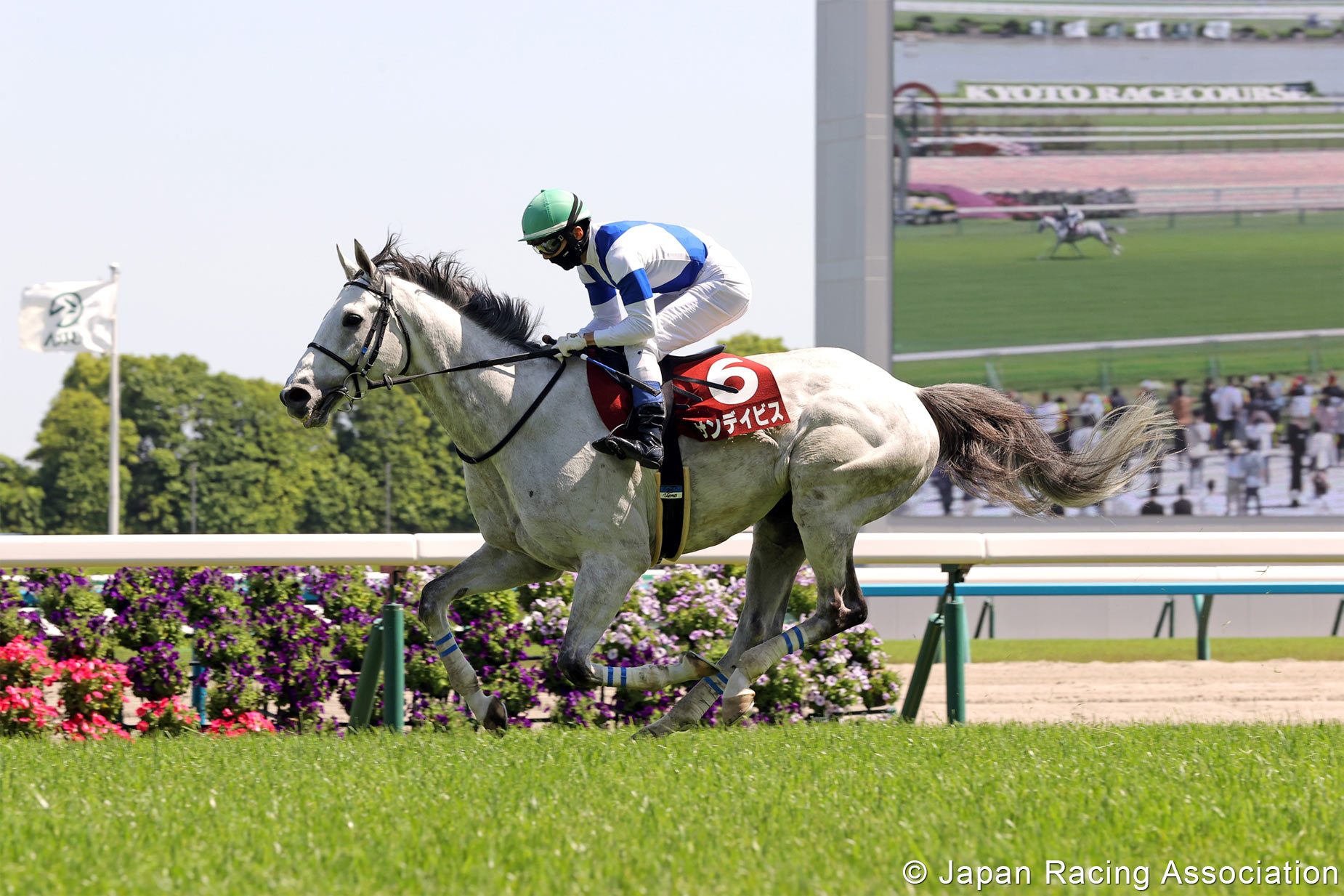 Horse Racing in Japan