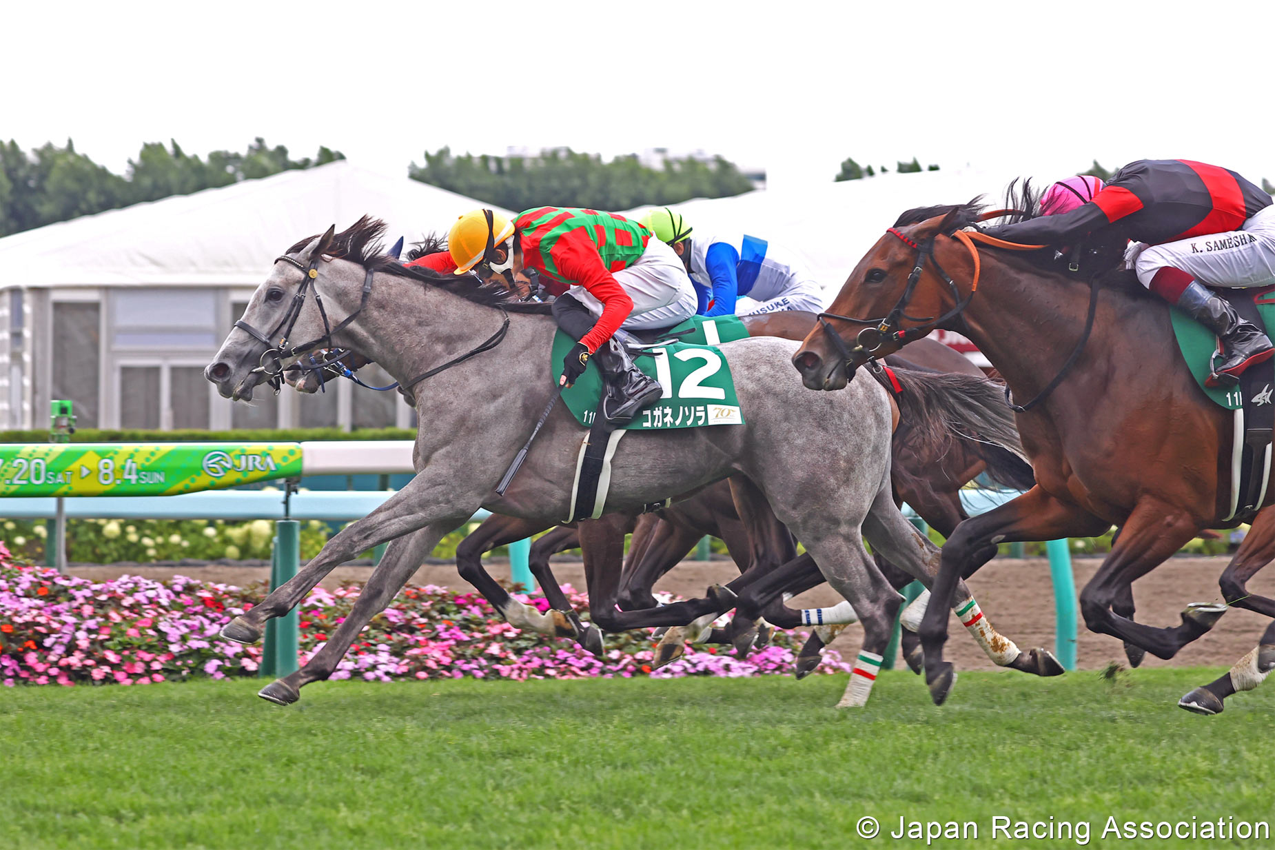 Horse Racing in Japan