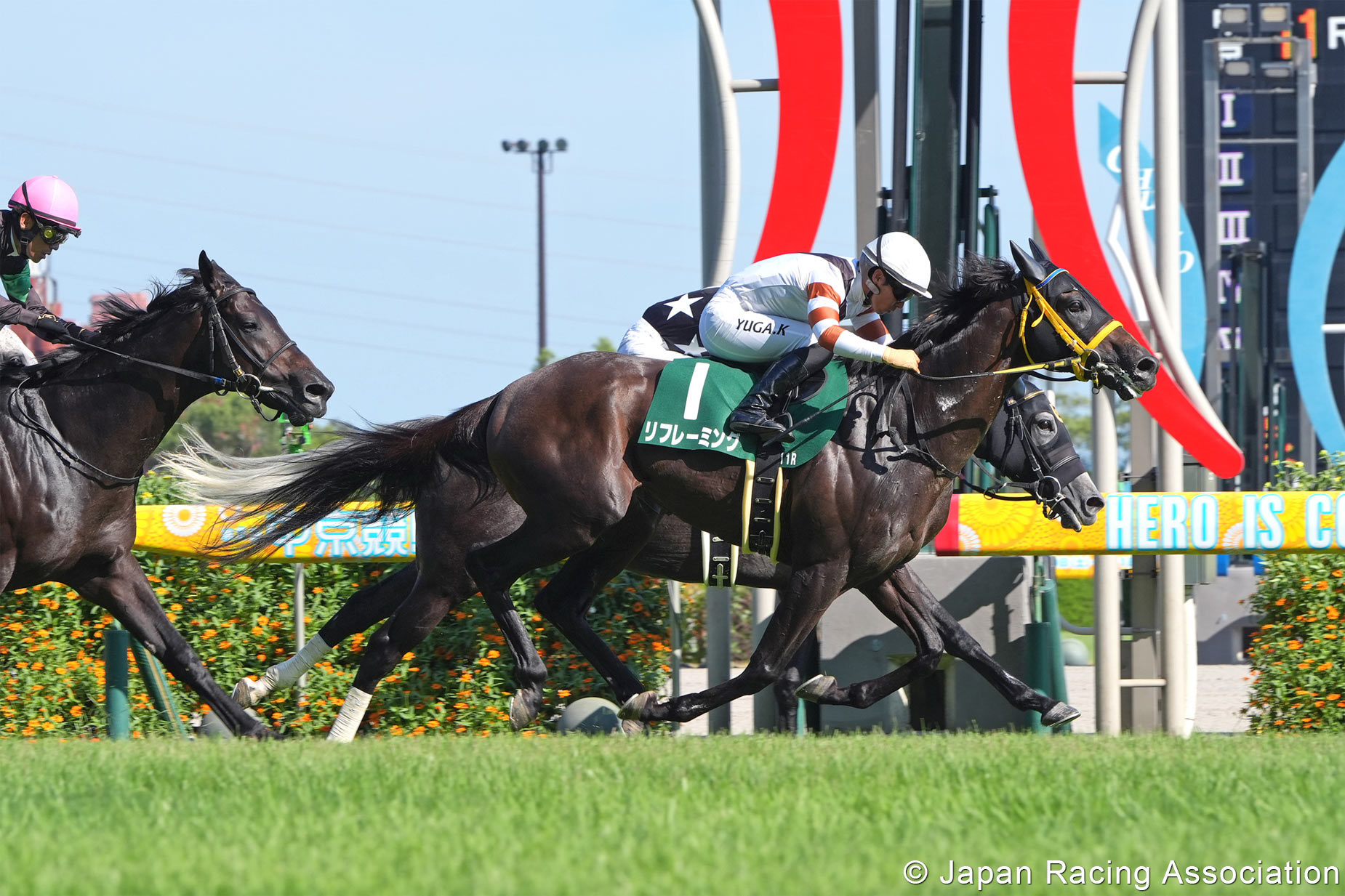Horse Racing in Japan