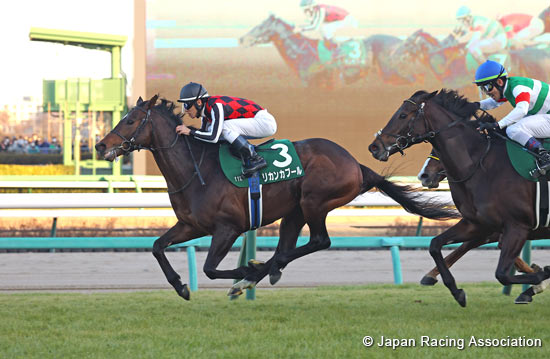 Horse Racing in Japan