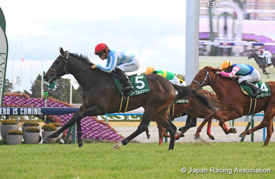 Horse Racing in Japan