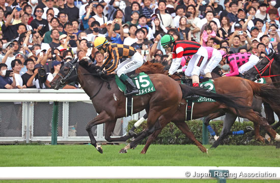 Horse Racing in Japan